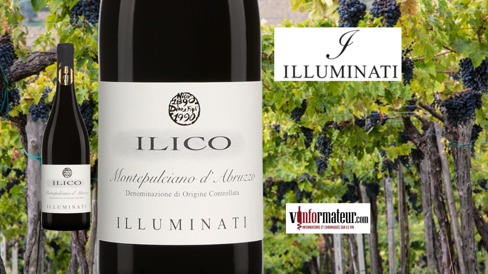 Vin rouge Ilico MOntepulciano d'Abruzzo 2020 | Vinformateur