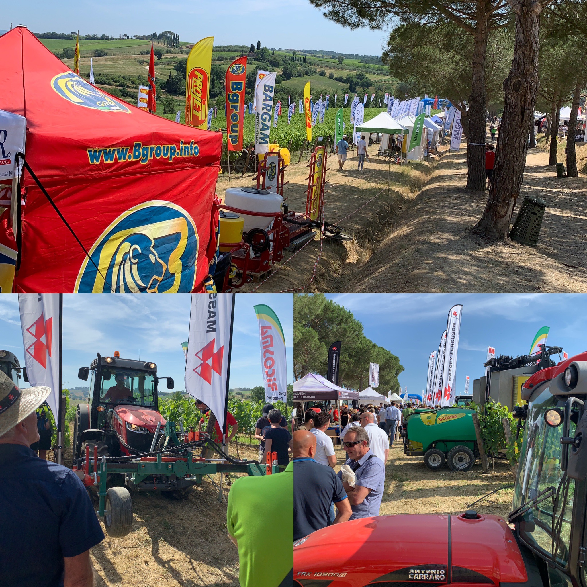 Vino Nobile de Toscane! Le vin noble à découvrir! | Vinformateur