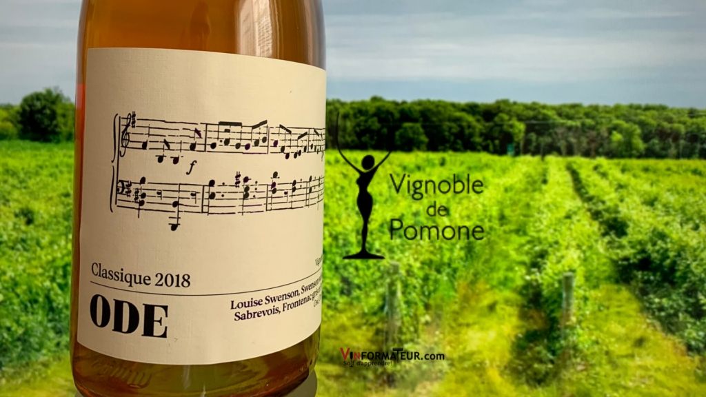 Un vin Orange délicieux élaboré au Québec! | Vinformateur
