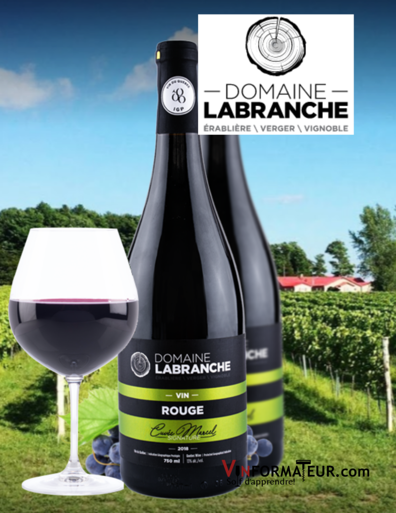 Surprenants les vins du Domaine Labranche!! | Vinformateur