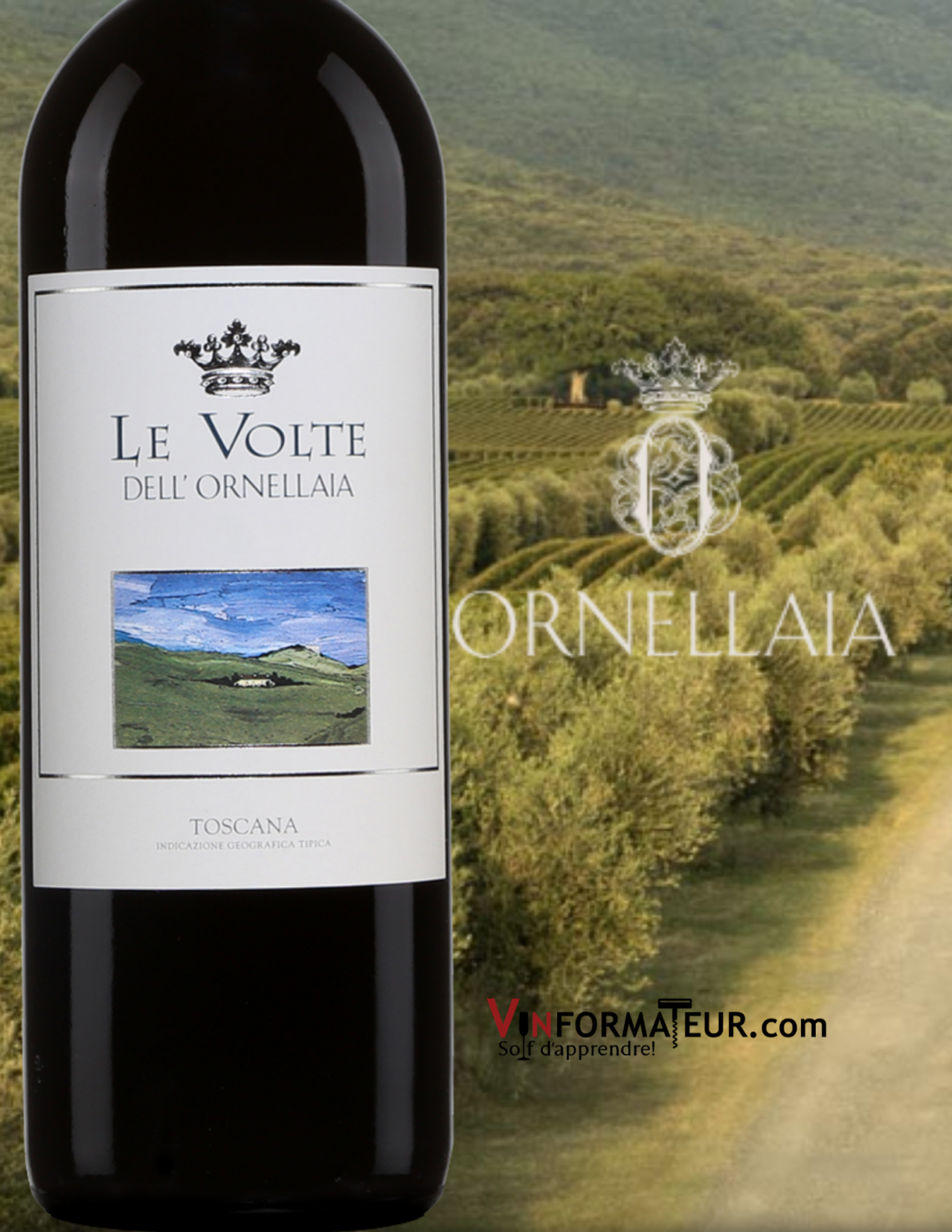 Un Classique de la Toscane. Le Volte Dell’Ornellaia! | Vinformateur