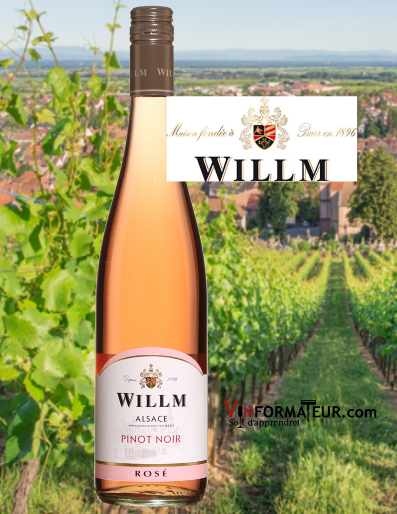 Coup de cœur d’Alsace! Pinot Noir rosé 2019 de la maison Willm ...
