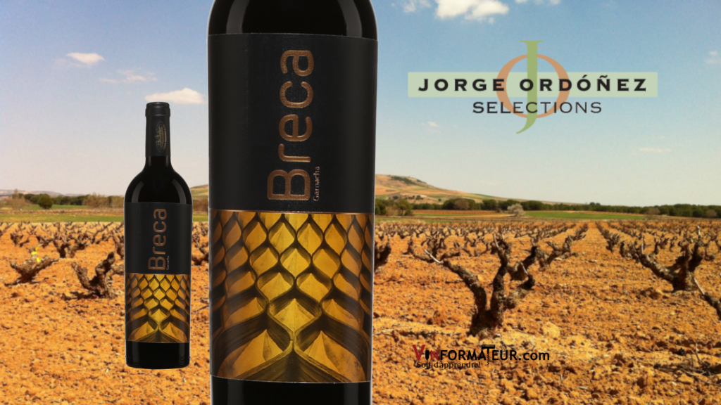 Coup de Coeur d’Aragon en Espagne! Breca, Garnacha, Vieilles Vignes ...