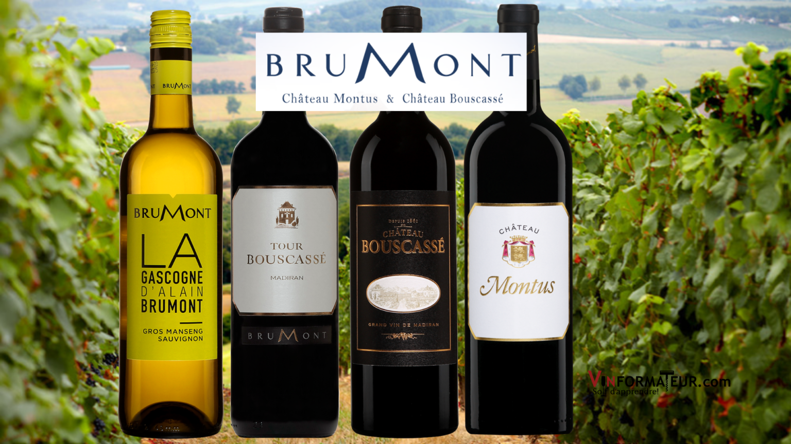 Les vins d’Alain Brumont. De purs nectars de l’appellation Madiran ...