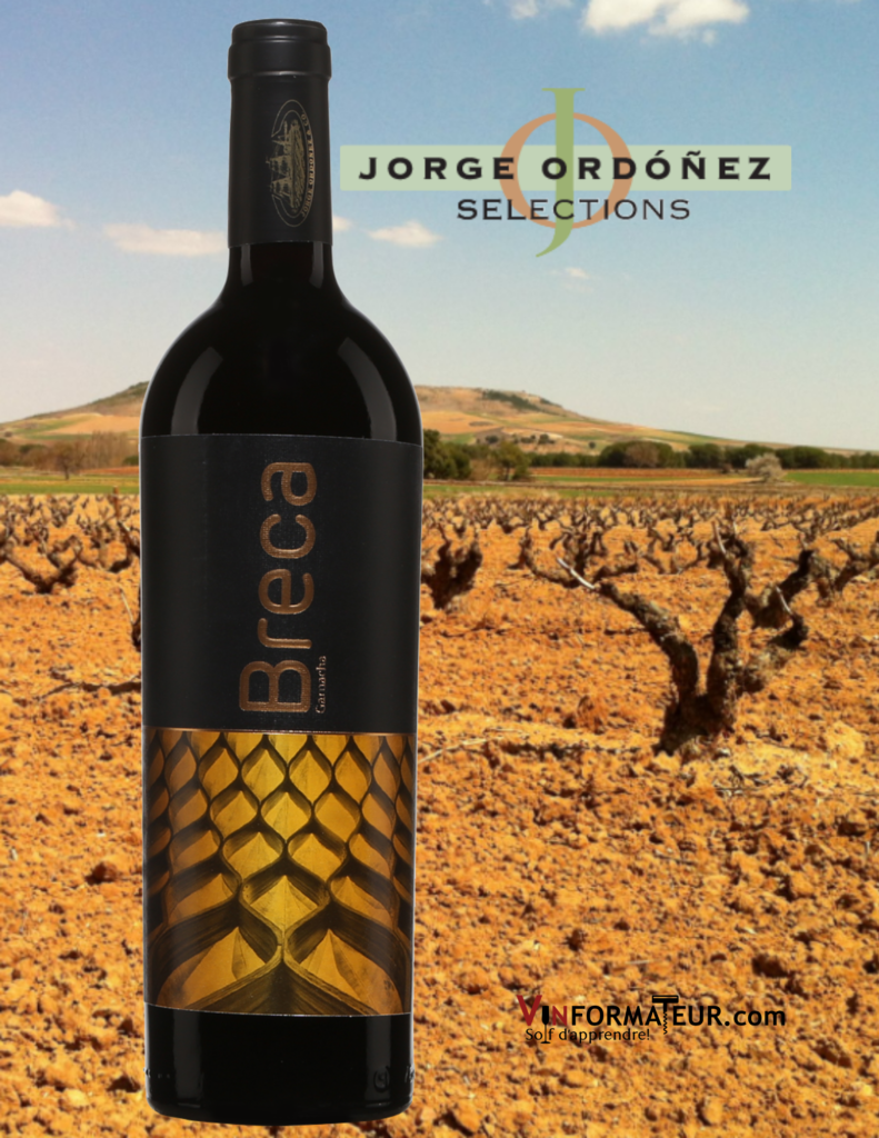 Coup de Coeur d’Aragon en Espagne! Breca, Garnacha, Vieilles Vignes ...
