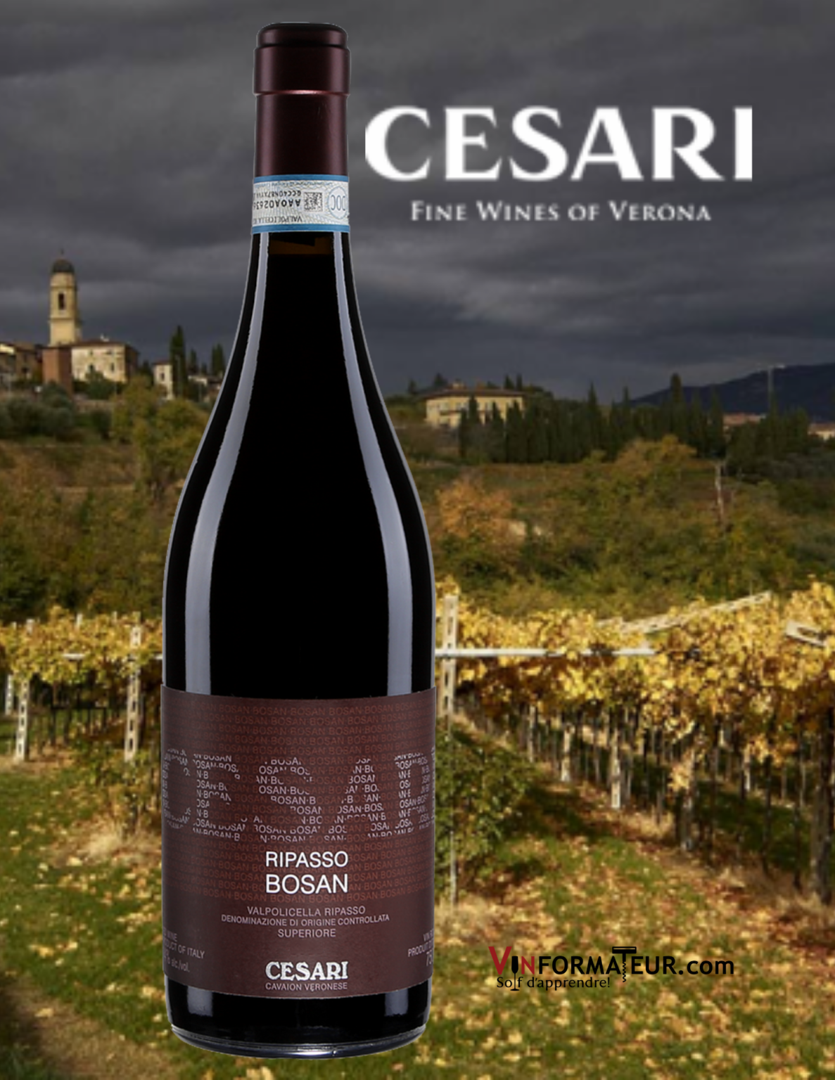 Gâtez-vous avec le Ripasso Bosan de la maison Cesari! | Vinformateur