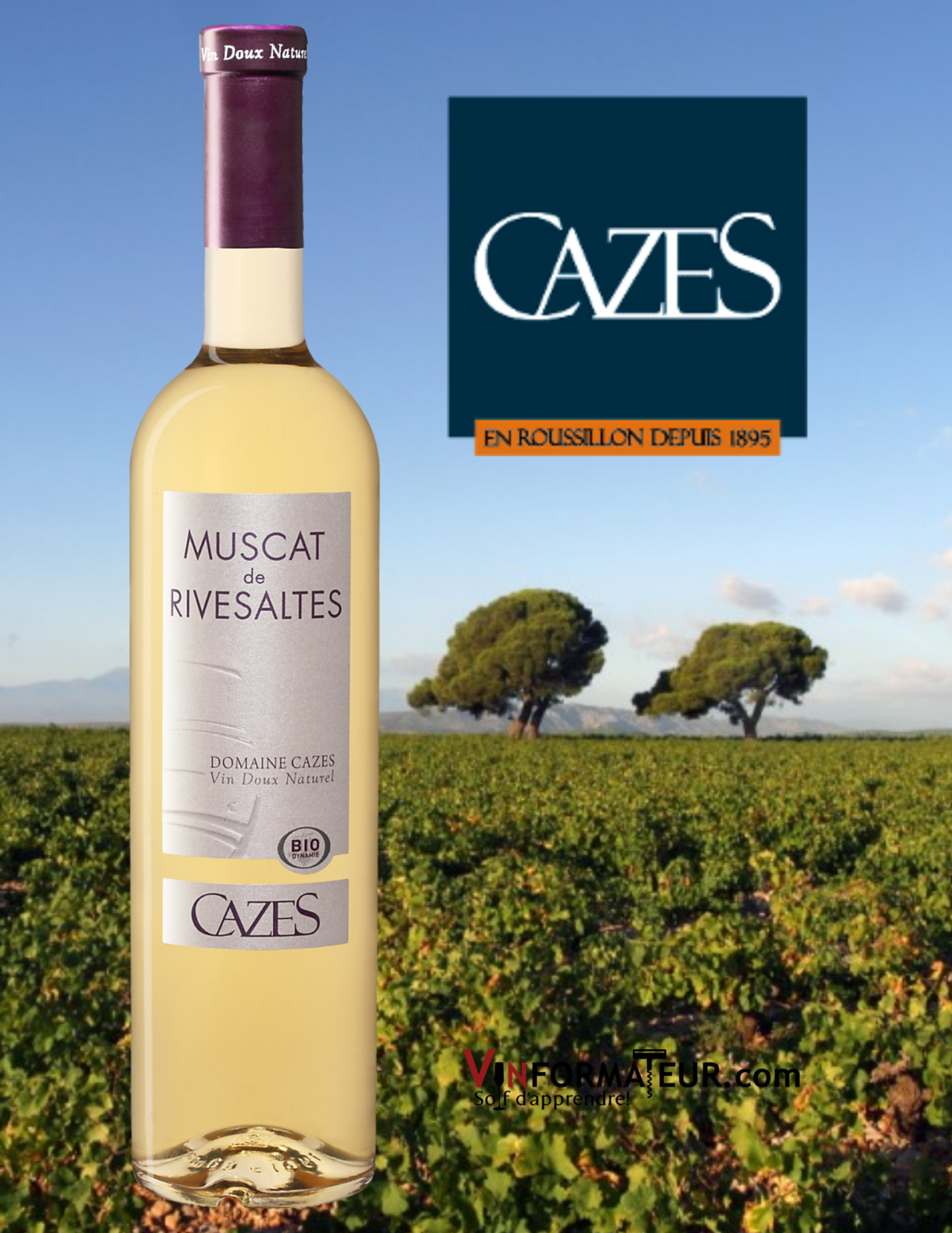 Vin dessert Muscat de Rivesaltes bio du Domaine Cazes | Vinformateur