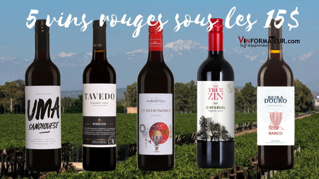 5 vins rouges sous les 15$!! | Vinformateur