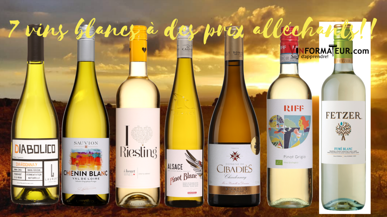 7 vins blancs coups de coeur à des prix alléchants!! | Vinformateur