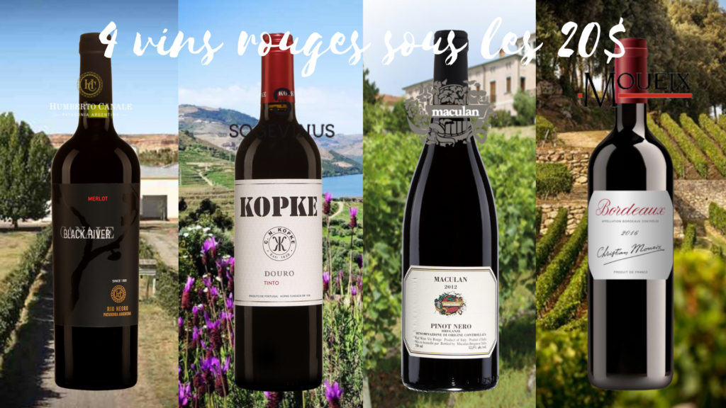 4 vins rouges sous les 20$ qui offrent d’excellents rapports qualité ...