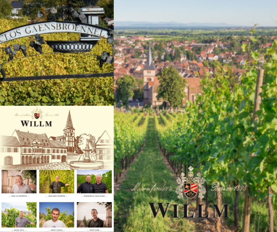 Pinot Noir Willm 2020. Un très beau rosé coup de cœur d’Alsace ...