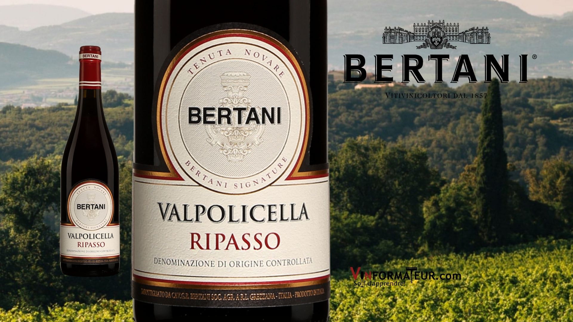 Bertani Ripasso: tout en fraîcheur et d’un bel équilibre! | Vinformateur