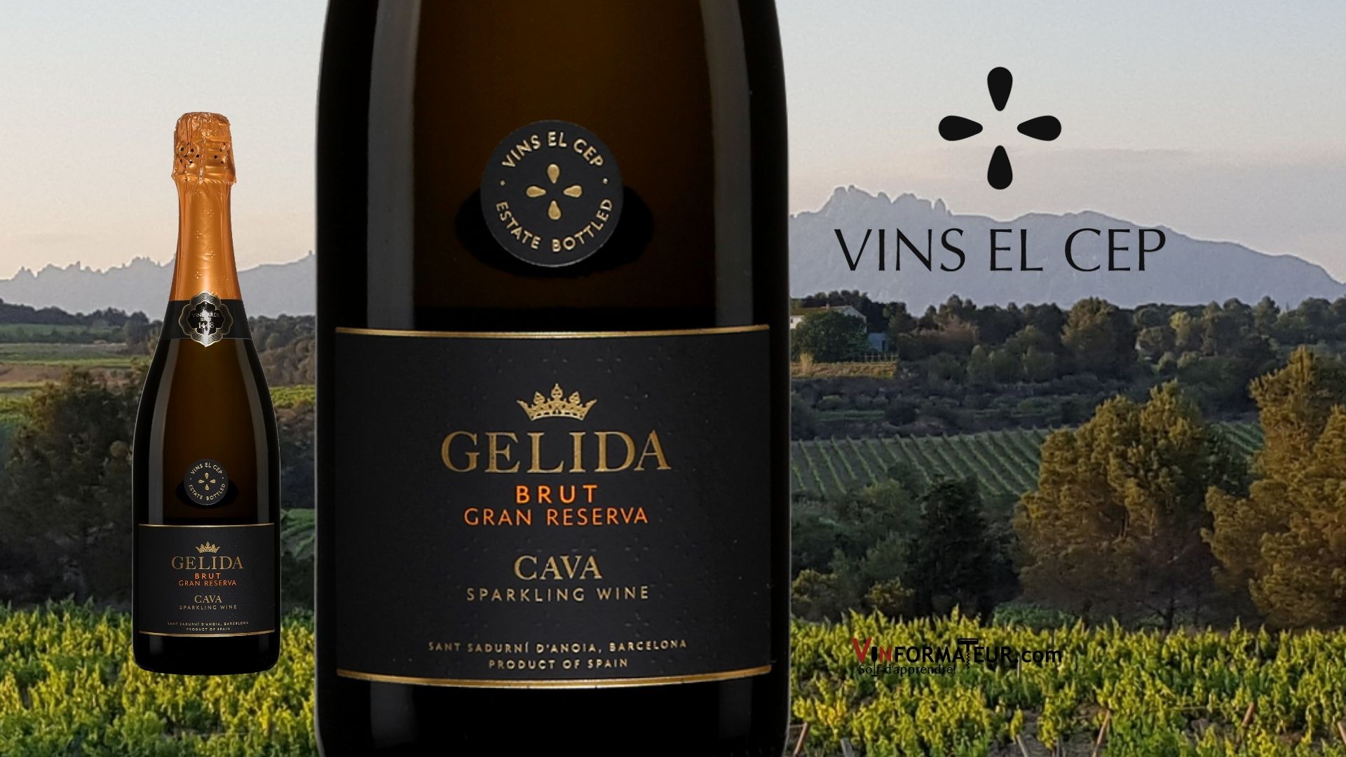 Un Cava Brut Gran Reserva bio auréolé, olé, olé! | Vinformateur