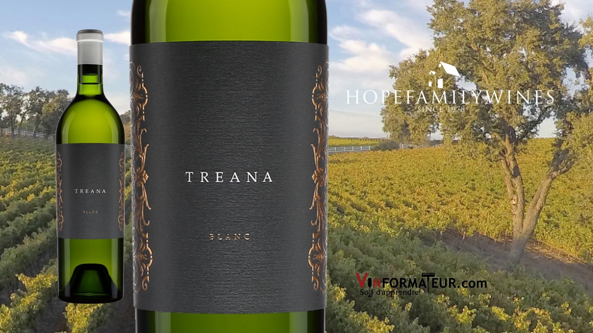 Treana! Délicieux vin blanc de Californie. | Vinformateur