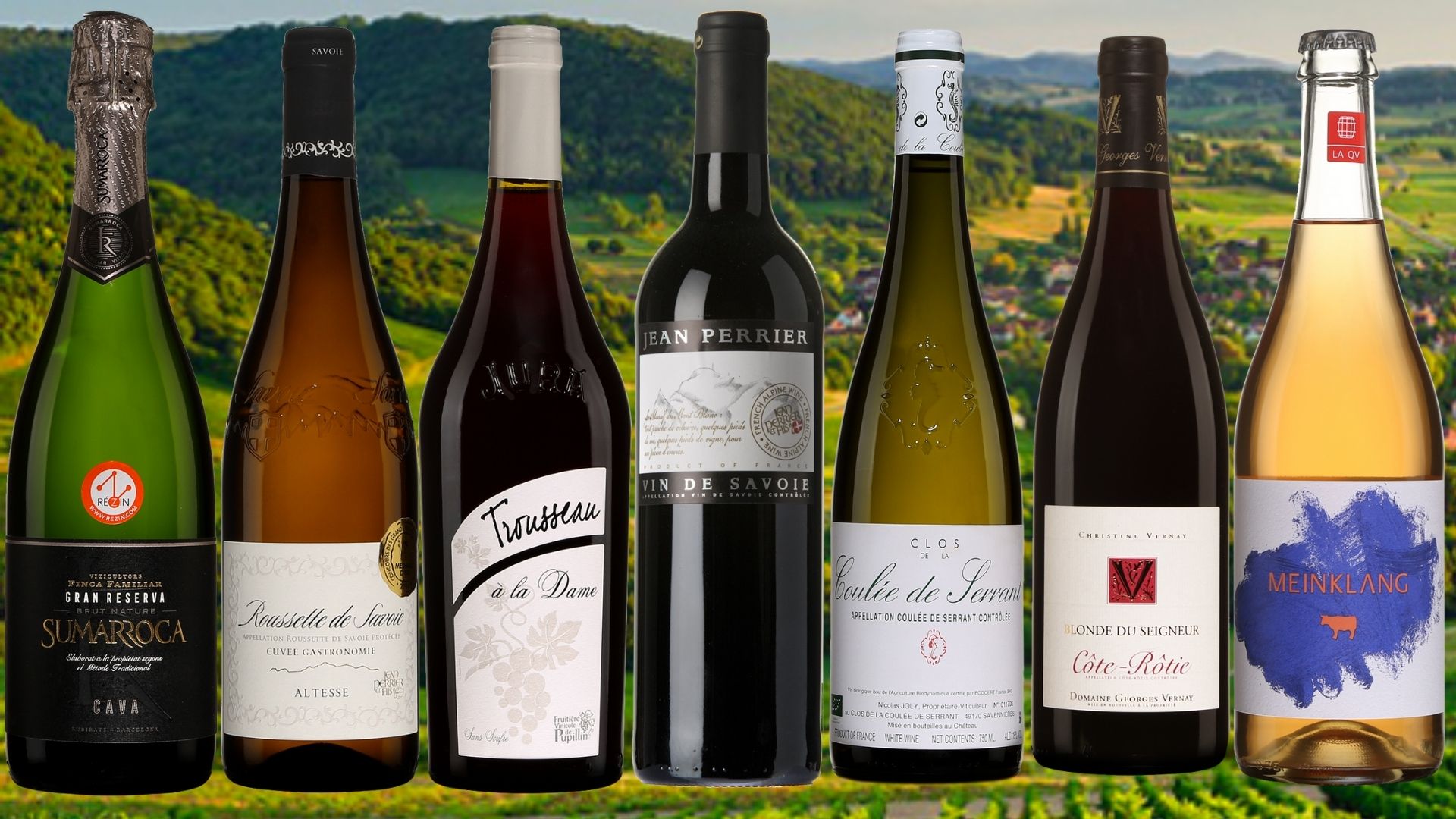 Dégustation entre sommeliers! | Vinformateur