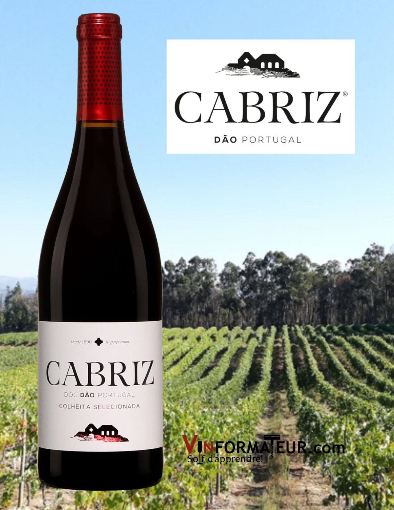 Les vins du Portugal de la maison Cabriz! | Vinformateur