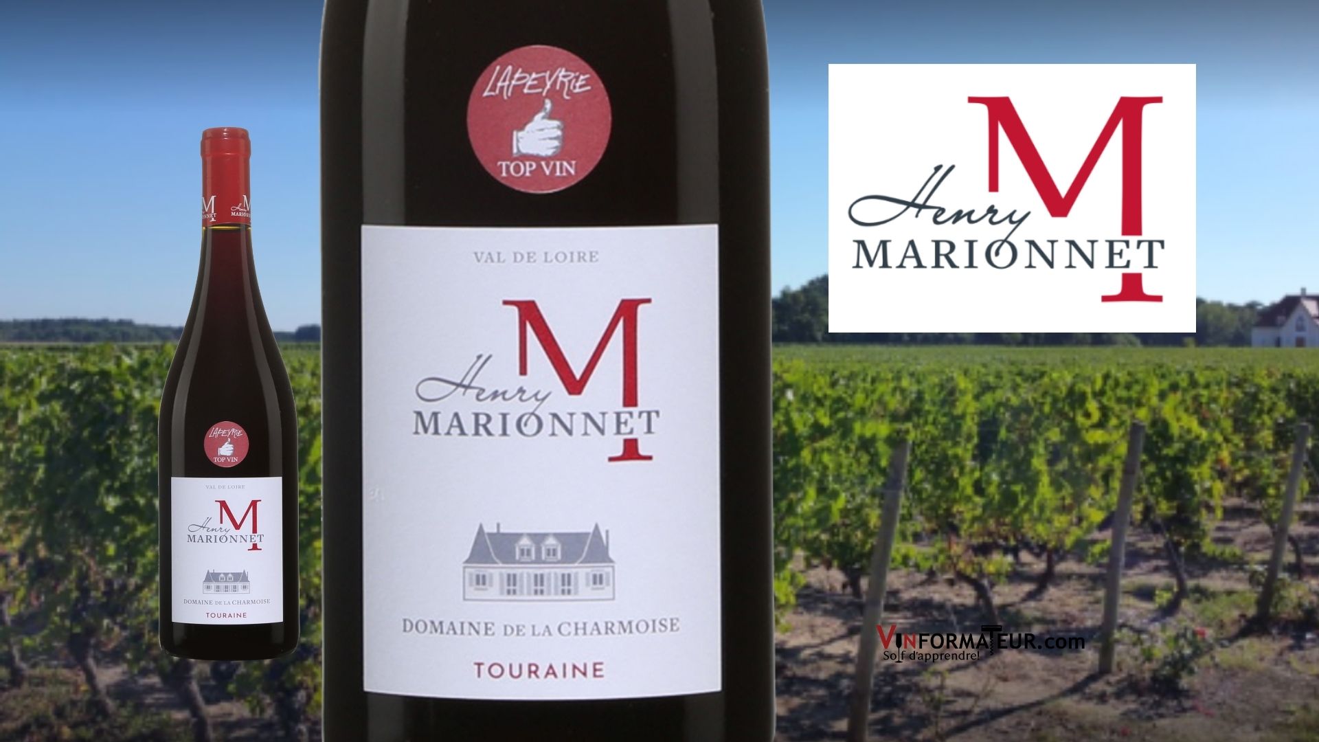 Coup de Coeur que ce Henry Marionnet Gamay 2020! | Vinformateur