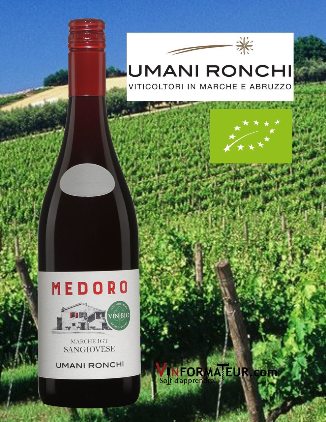 Un beau vin rouge bio d’Italie sous la barre des 10$!! | Vinformateur