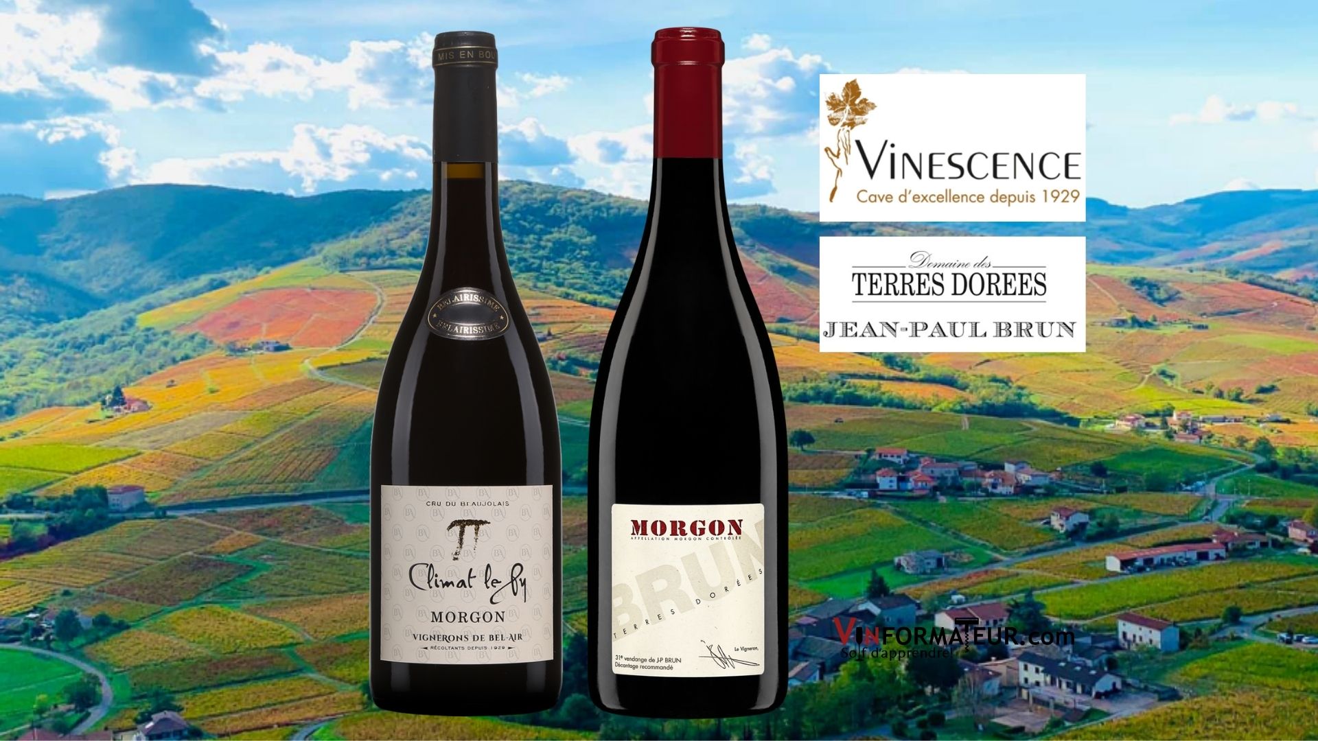 Deux vins du Beaujolais de l’appellation Morgon pour célébrer l’amour ...