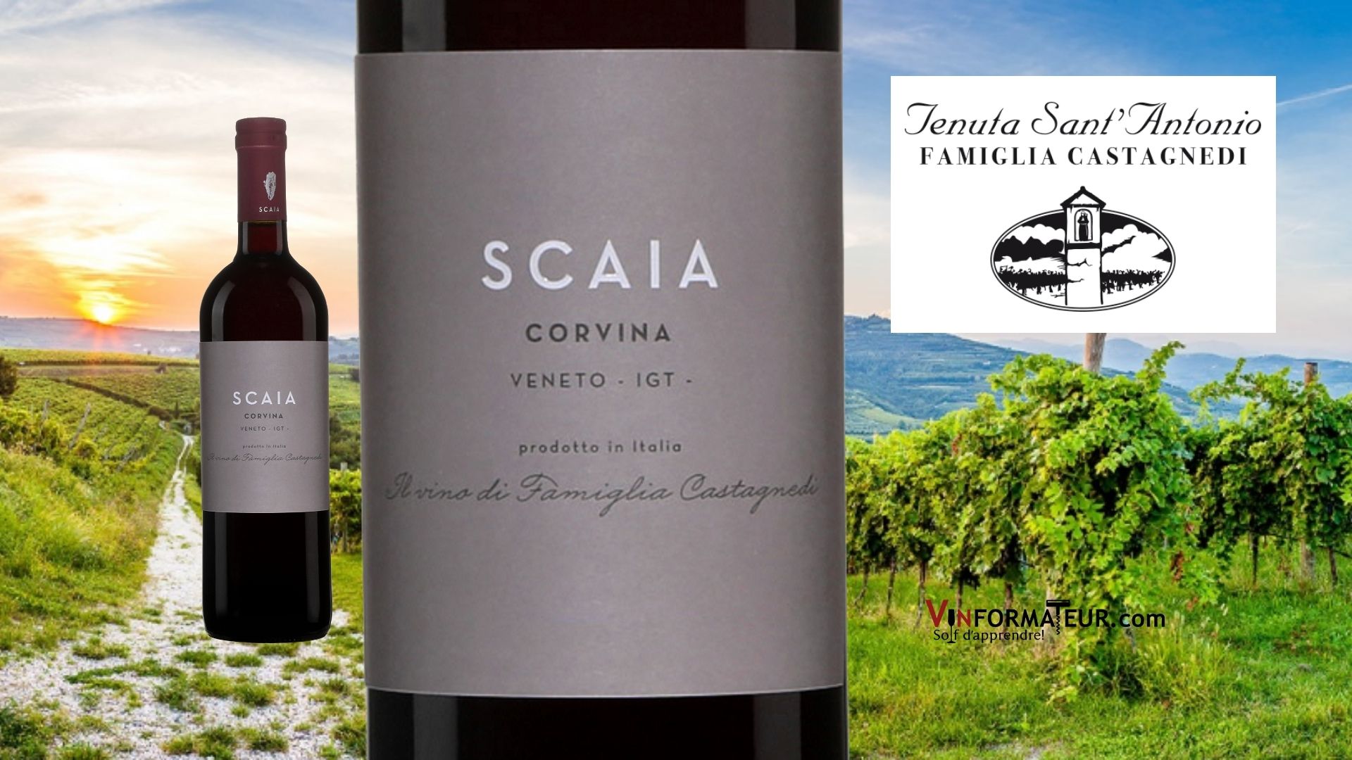 Un vin de Corvina d’une sapidité étonnante! Scaia 2019. | Vinformateur