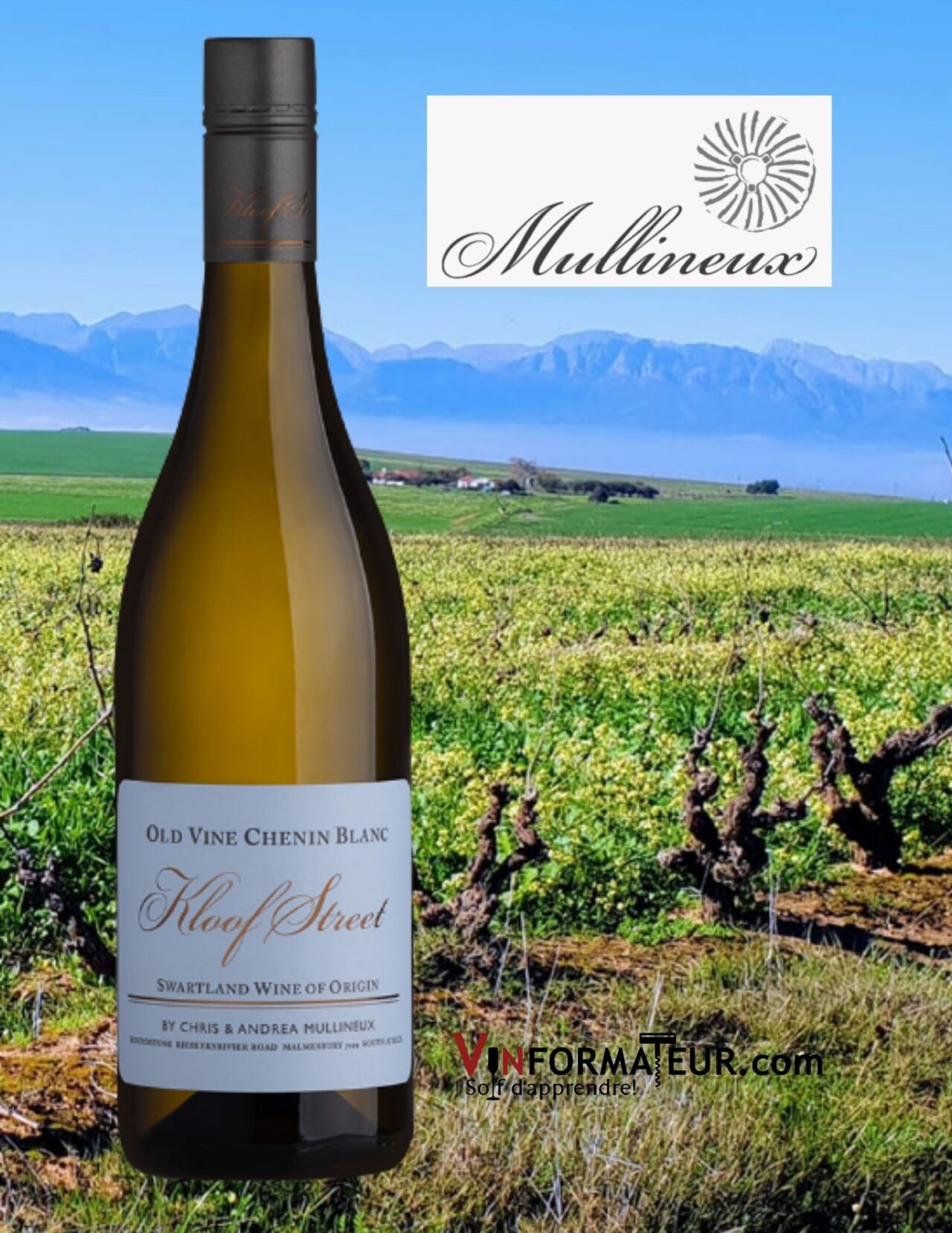 Découvrez les vins de Chenin blanc de la maison Mullineux d’Afrique du Sud! | Vinformateur