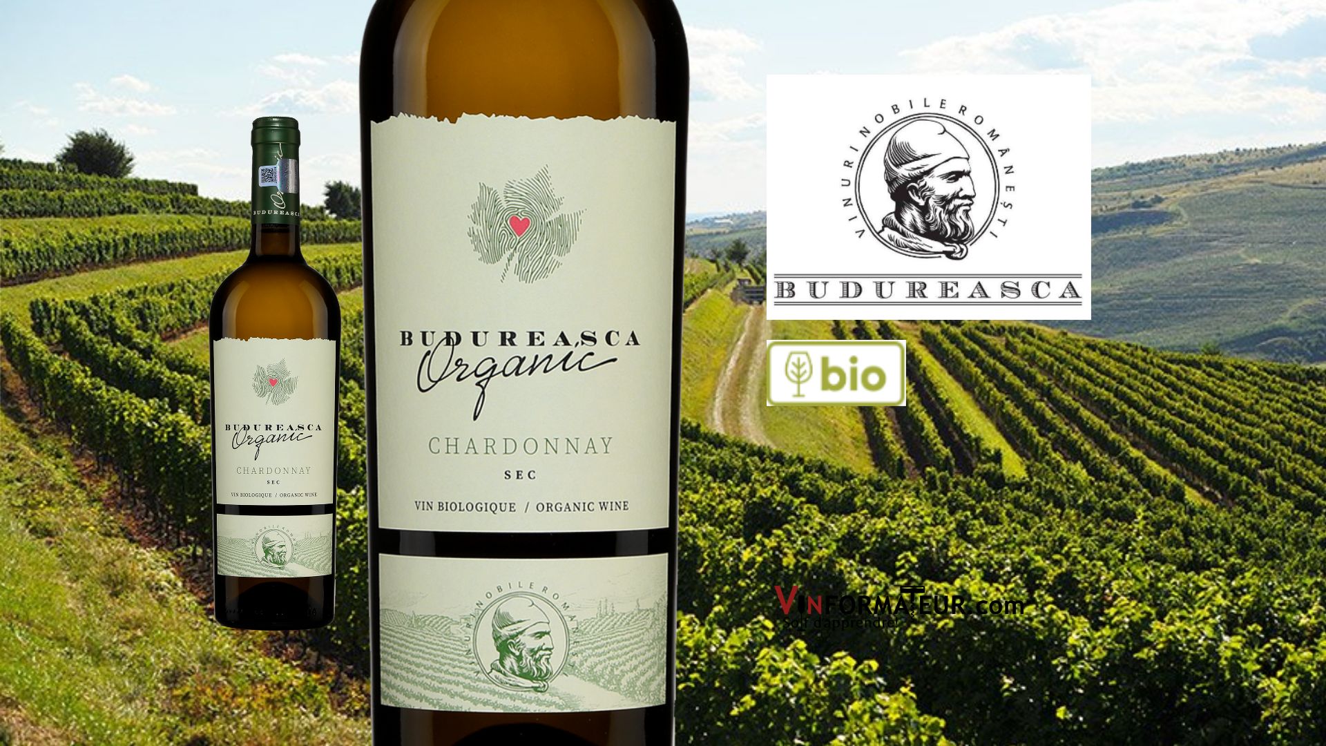 Budureasca, un très beau vin blanc bio de Roumanie! | Vinformateur