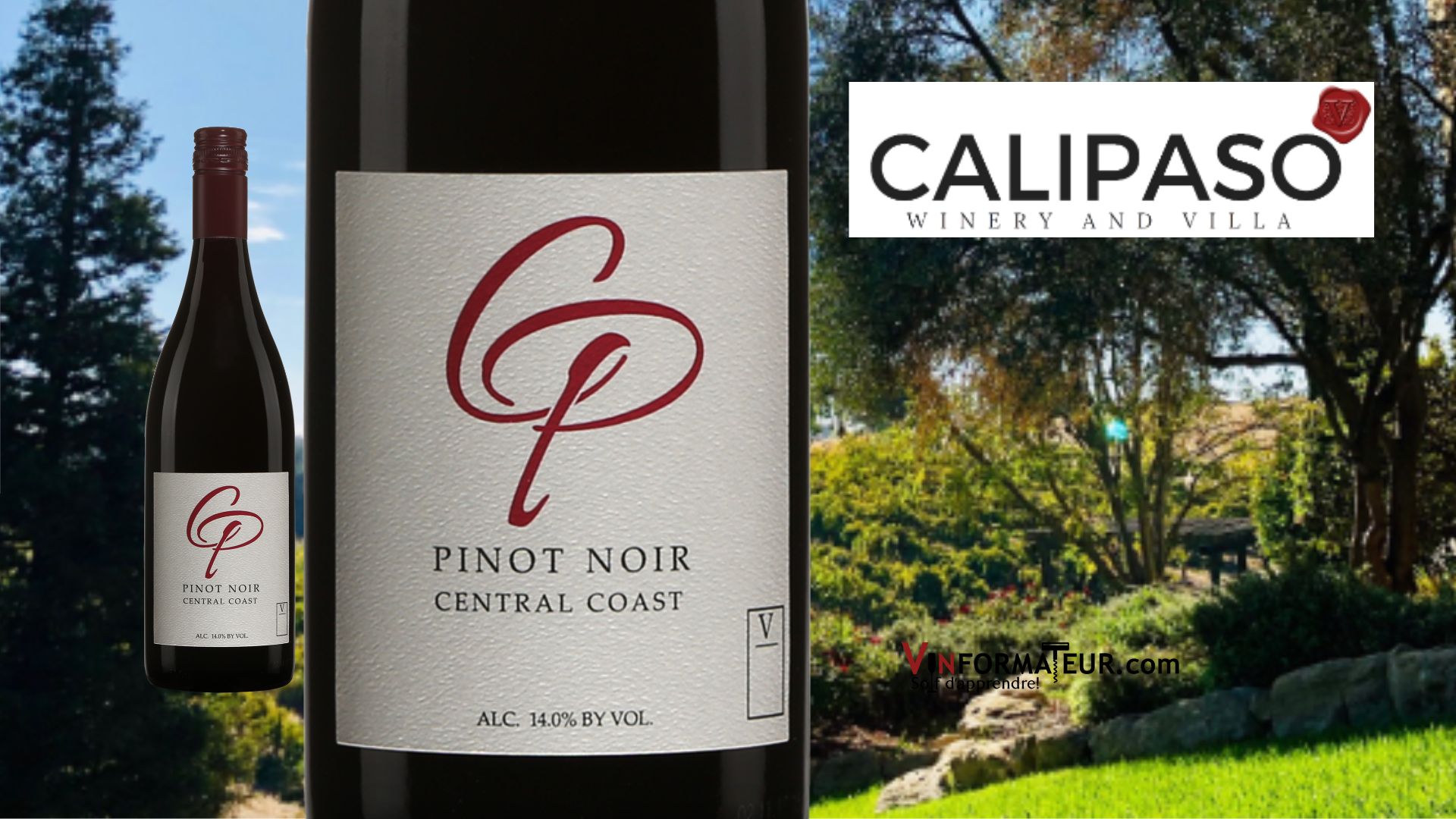 Pinot Noir 2019 de la maison CaliPaso. | Vinformateur