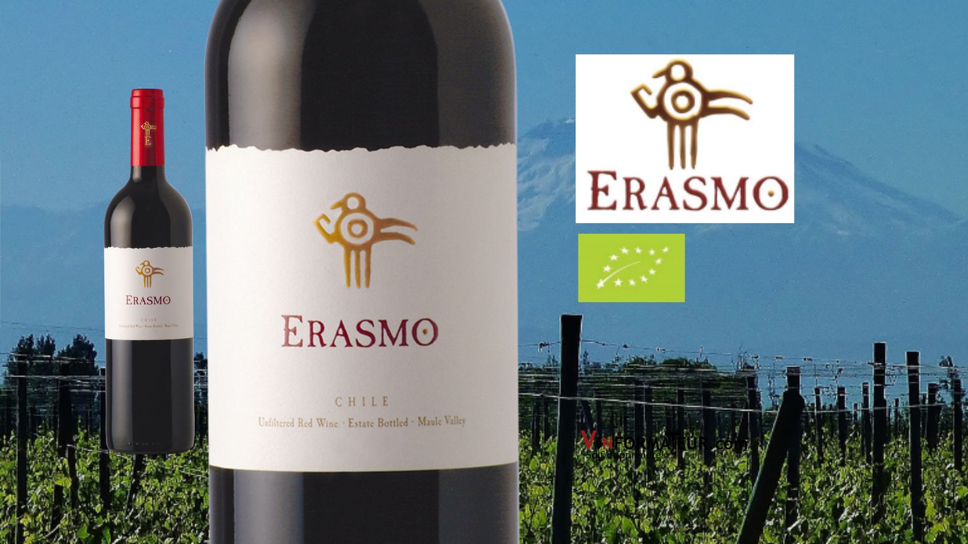 Un vin rouge bio du Chili costaud, juteux, goûteux et d’un bel équilibre! | Vinformateur