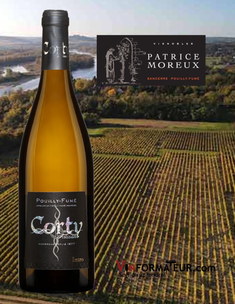 Coup de Coeur que ce Pouilly-Fumé, Corty Artisan Intro 2020! | Vinformateur