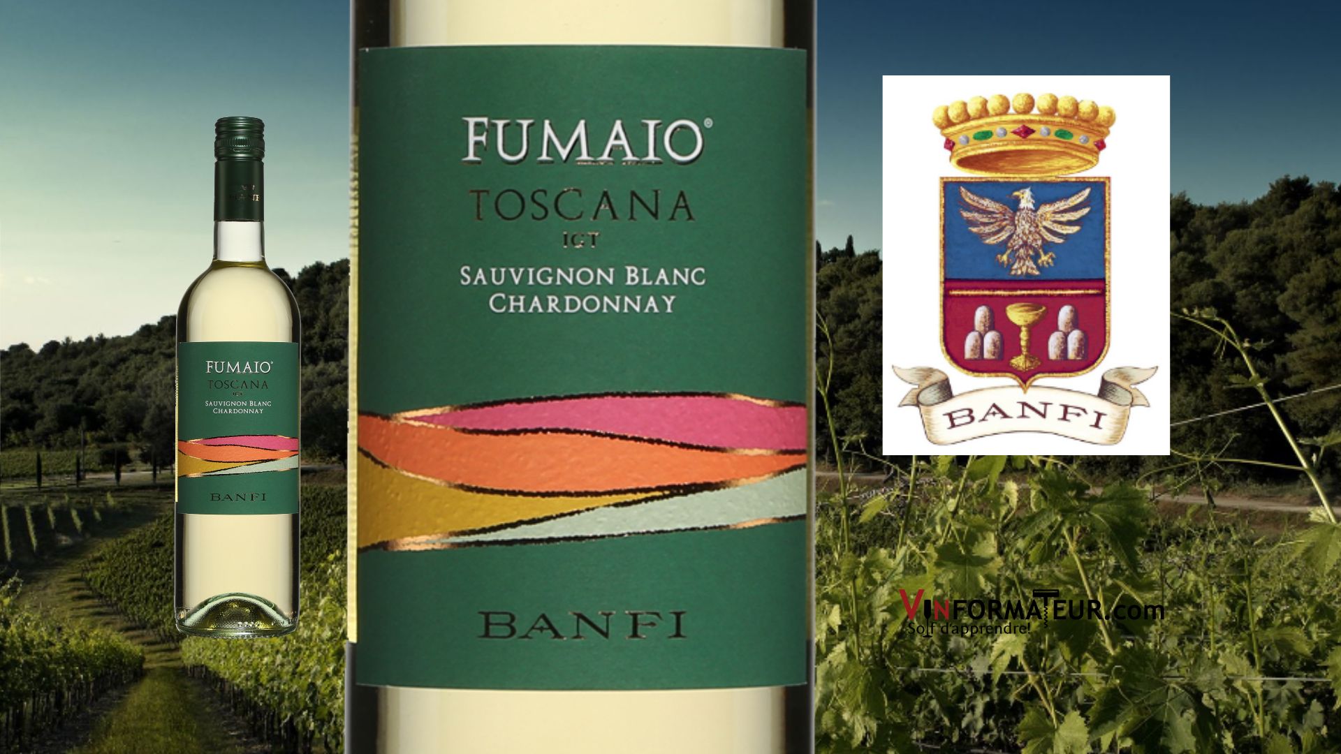 Délicieux assemblage de Chardonnay et de Sauvignon blanc. Fumaio, Banfi ...