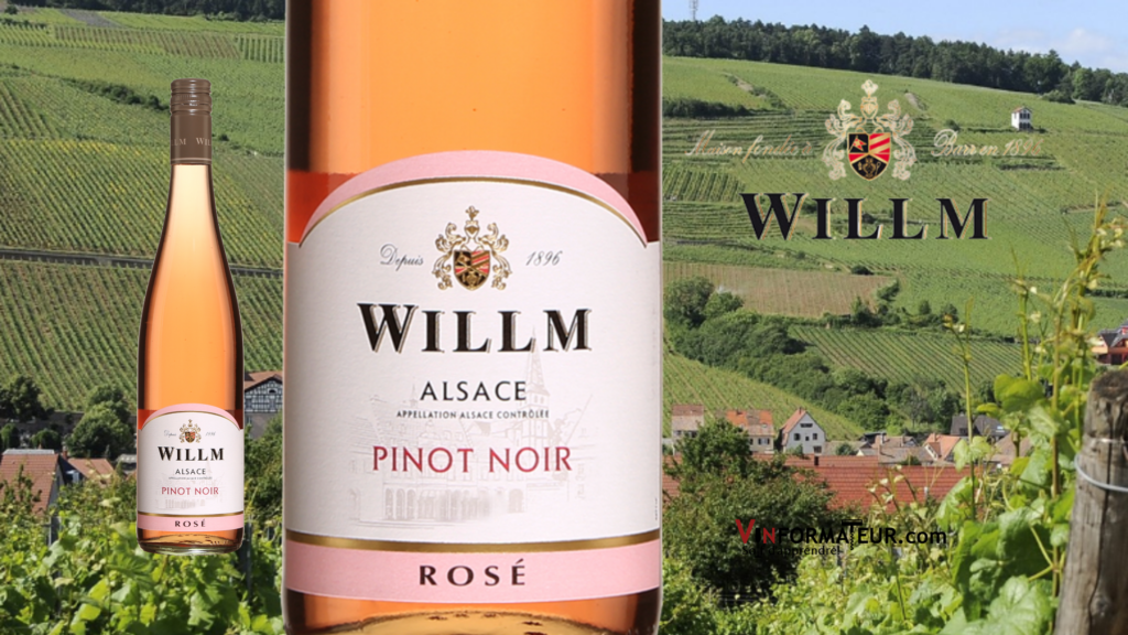 Une valeur sûre! Willm Pinot Noir rosé 2021. | Vinformateur