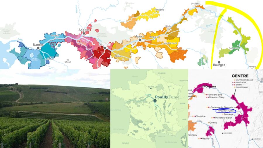 Coup de Coeur que ce Pouilly-Fumé, Corty Artisan Intro 2020! | Vinformateur