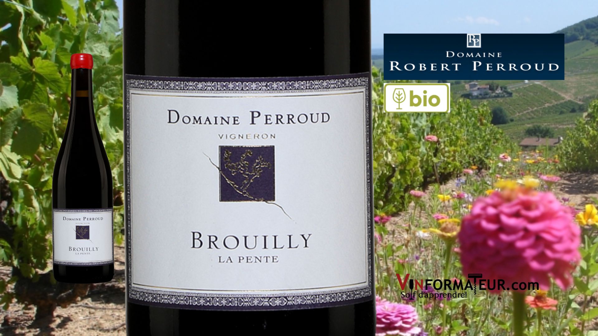 Un tout nouveau Brouilly bio! Domaine Robert Perroud, Brouilly, La ...