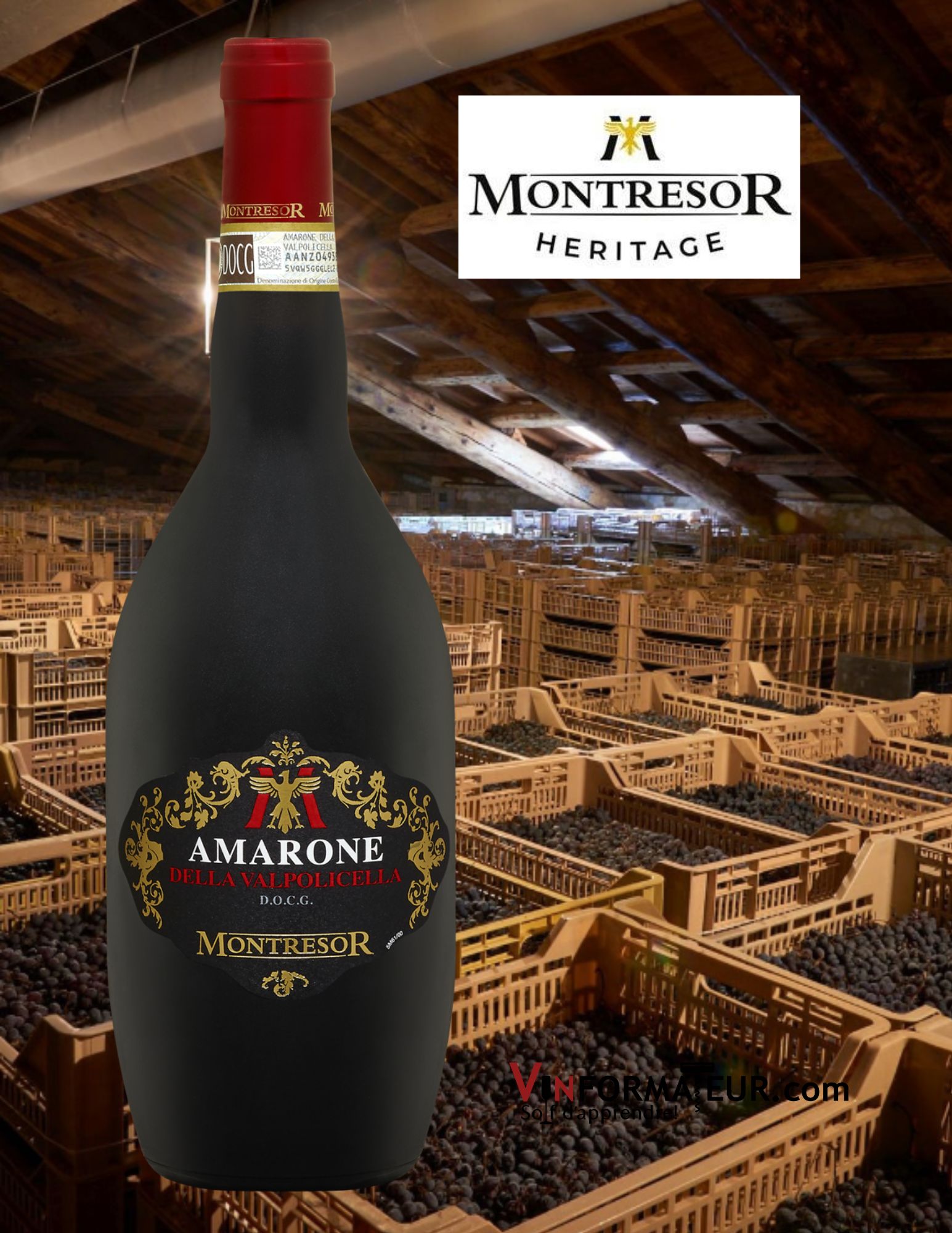 Le tout nouveau Satinato Soave bio de la maison Montresor! | Vinformateur