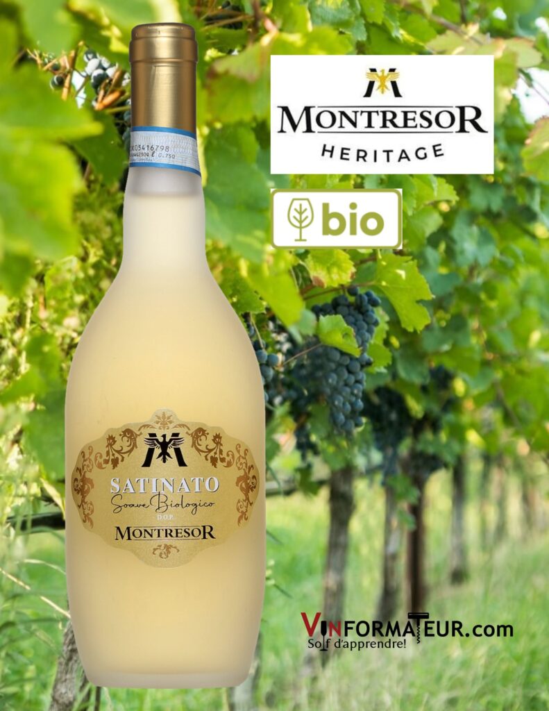 Le tout nouveau Satinato Soave bio de la maison Montresor! | Vinformateur