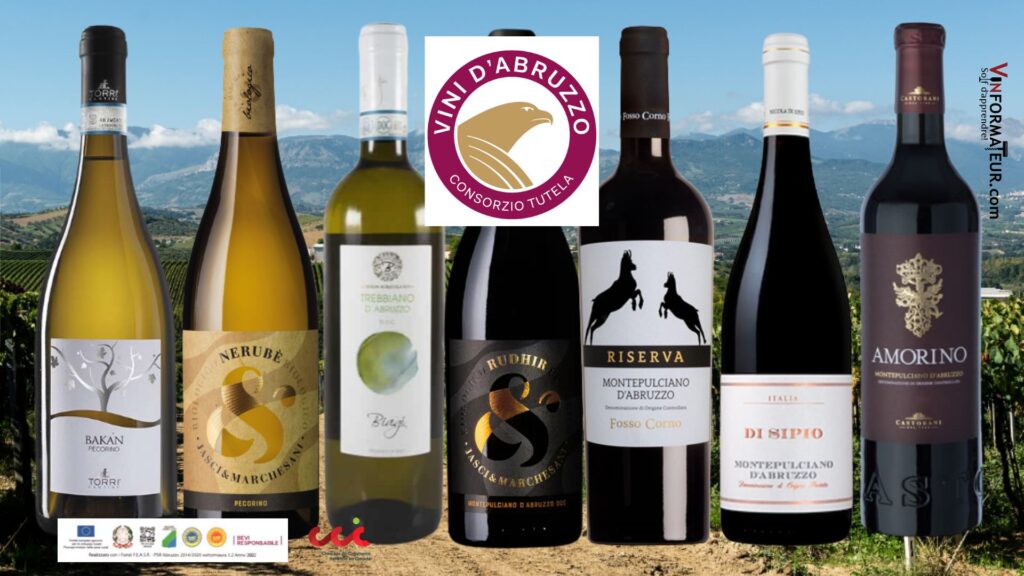 À la découverte des vins de Montepulciano d’Abruzzo! | Vinformateur