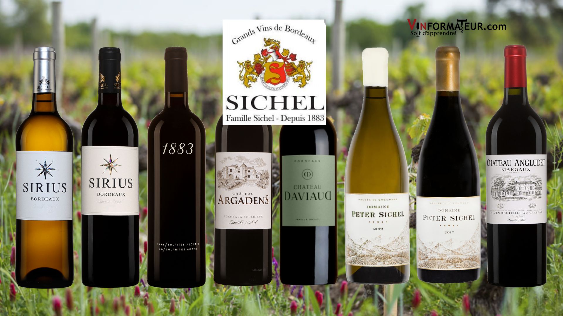 Superbe dégustation des vins de la maison Sichel! | Vinformateur