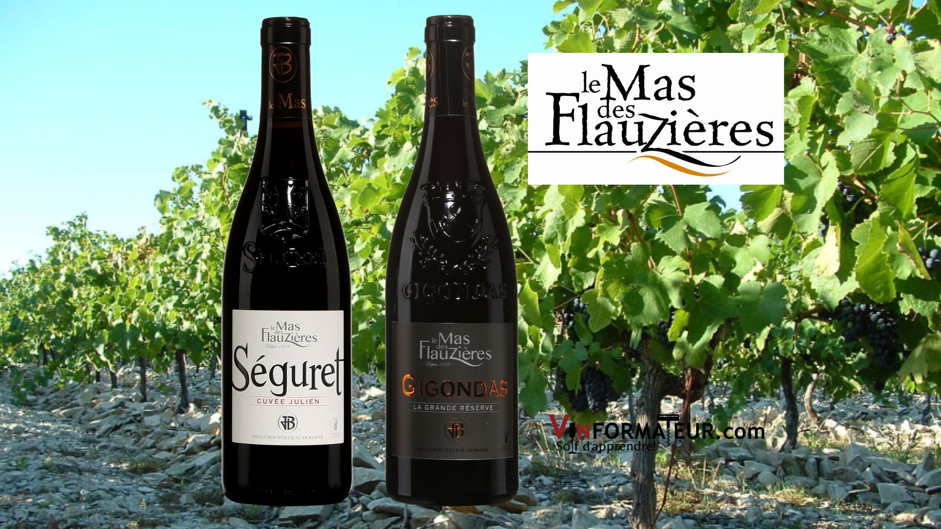 Le Mas des Flauzières, Séguret et Gigondas AOC. Des incontournables ...