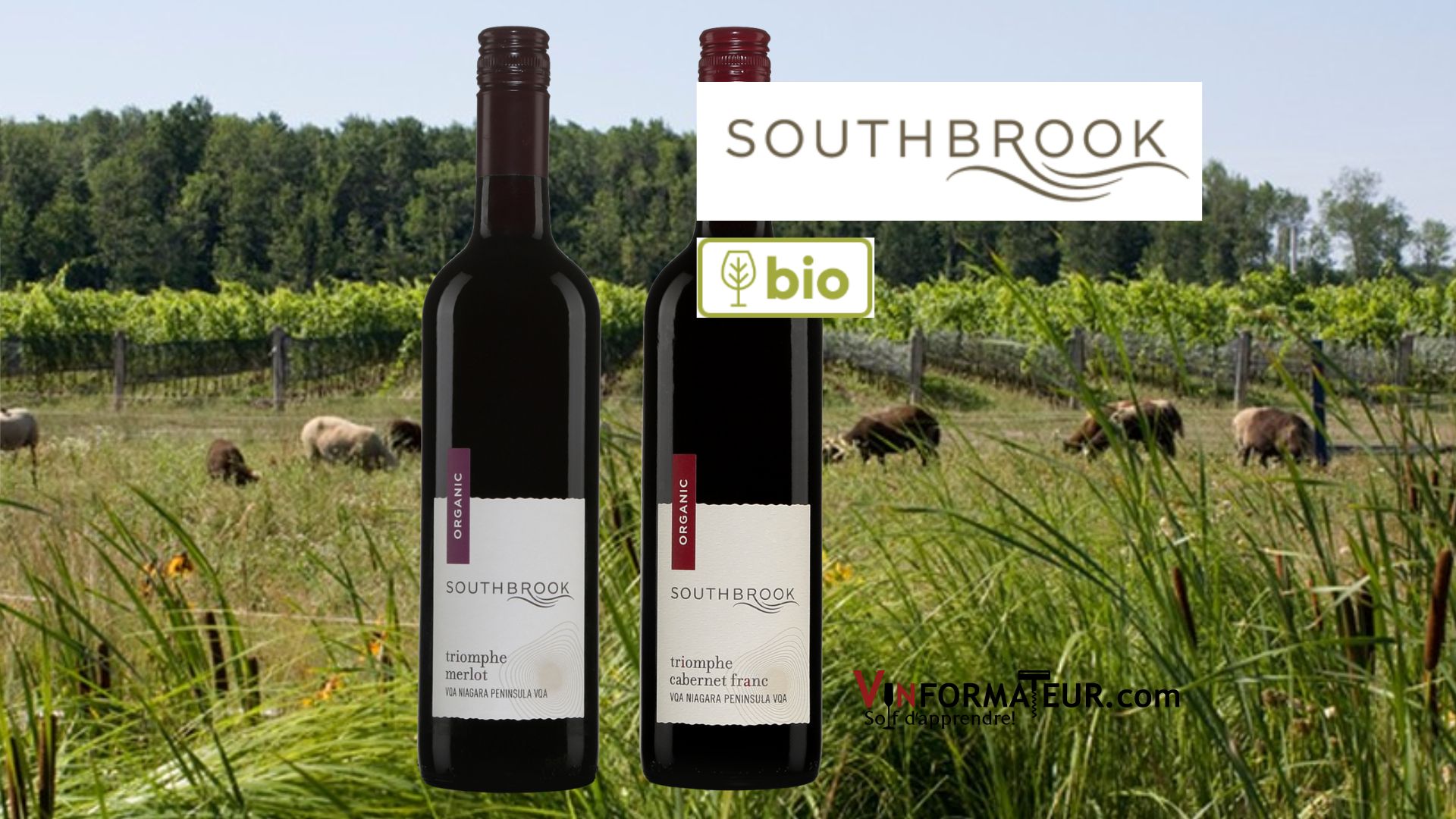 Deux succulents vins rouges bio de la maison Southbrook à découvrir ...