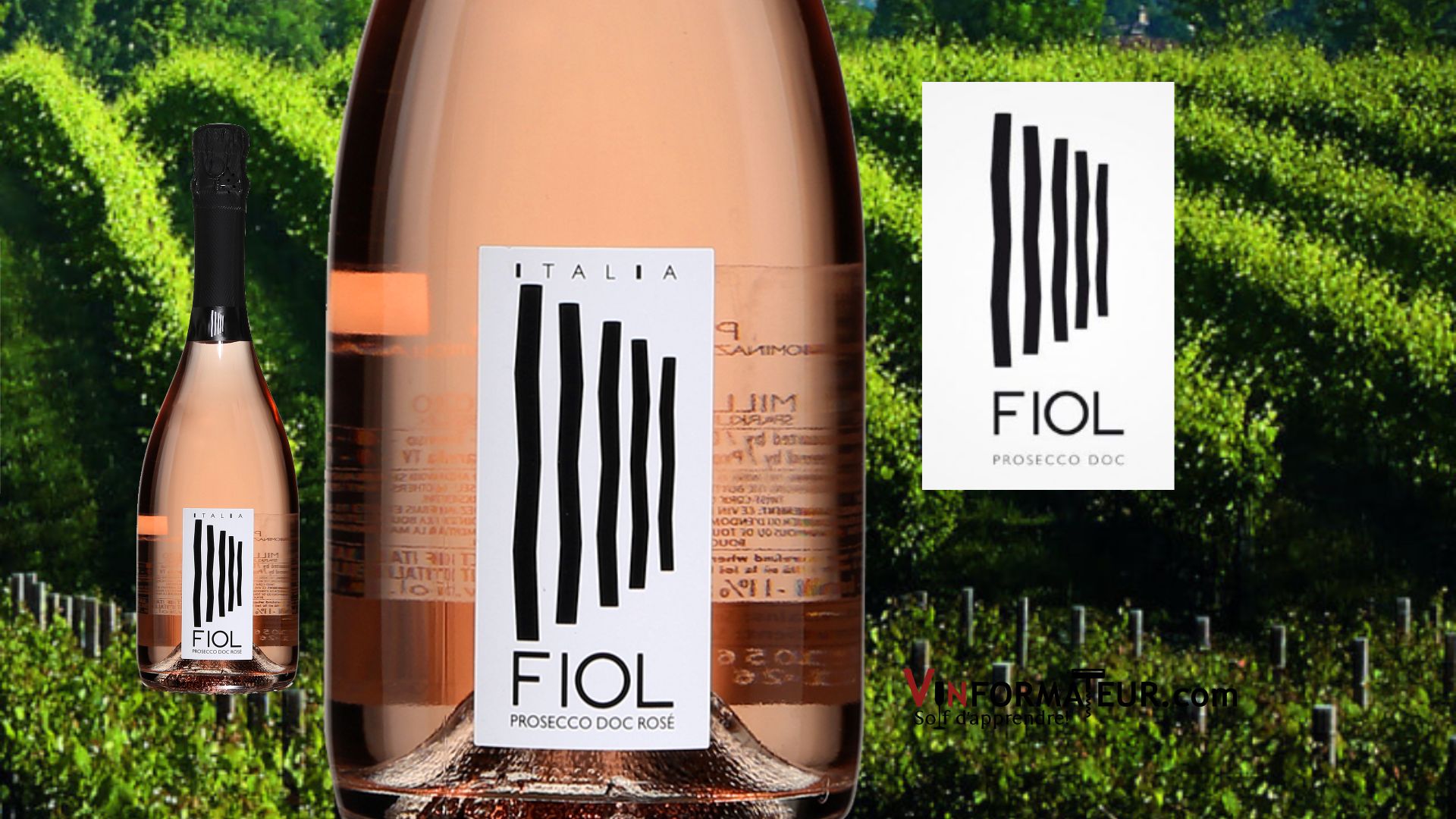 Prosecco Rosé Fiol 2021. | Vinformateur