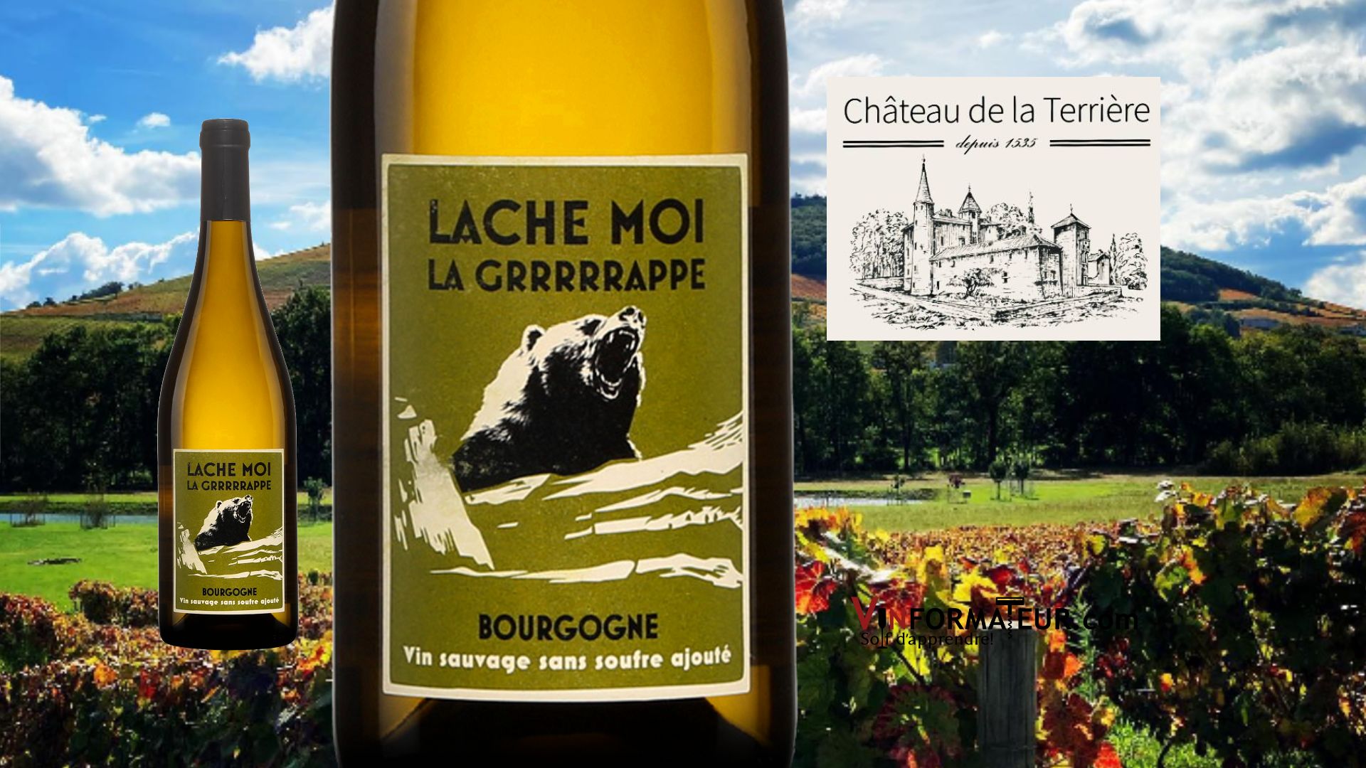 Lache moi la Grrrrrappe!! Vin blanc nature 2021 | Vinformateur