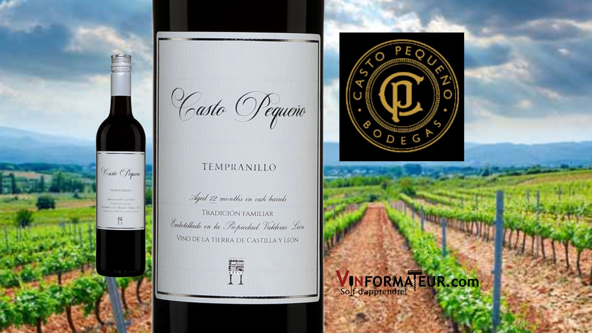 Casto Pequeno tempranillo | Vinformateur