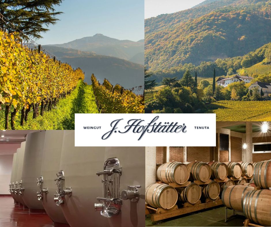 Découvrez les magnifiques vins du nord-est de l’Italie, la région d ...