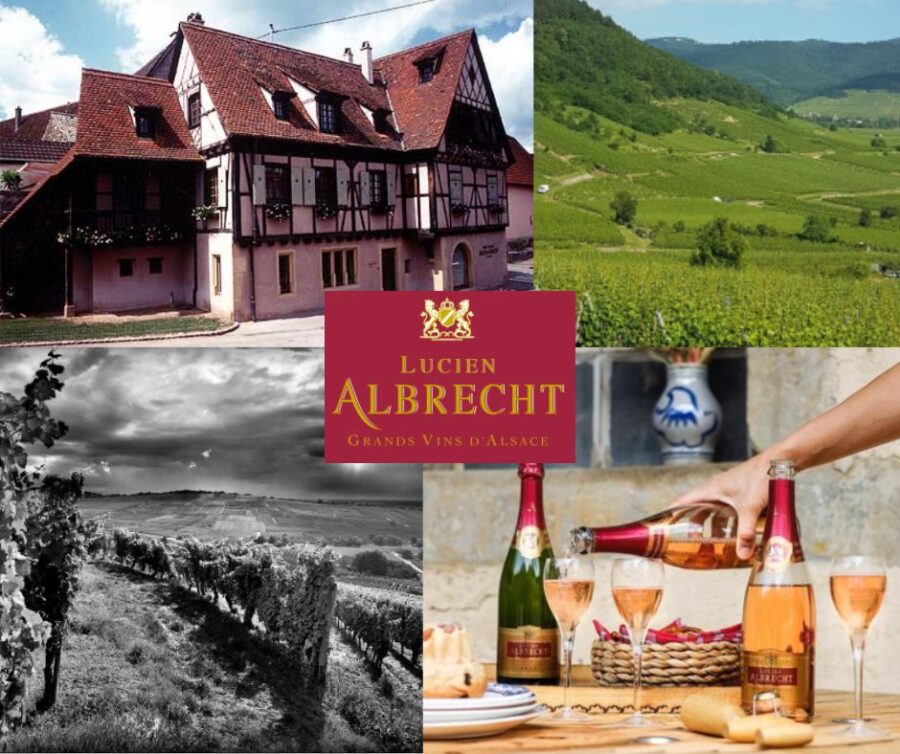 Lucien Albrecht. Un Pinot Noir d’Alsace. | Vinformateur