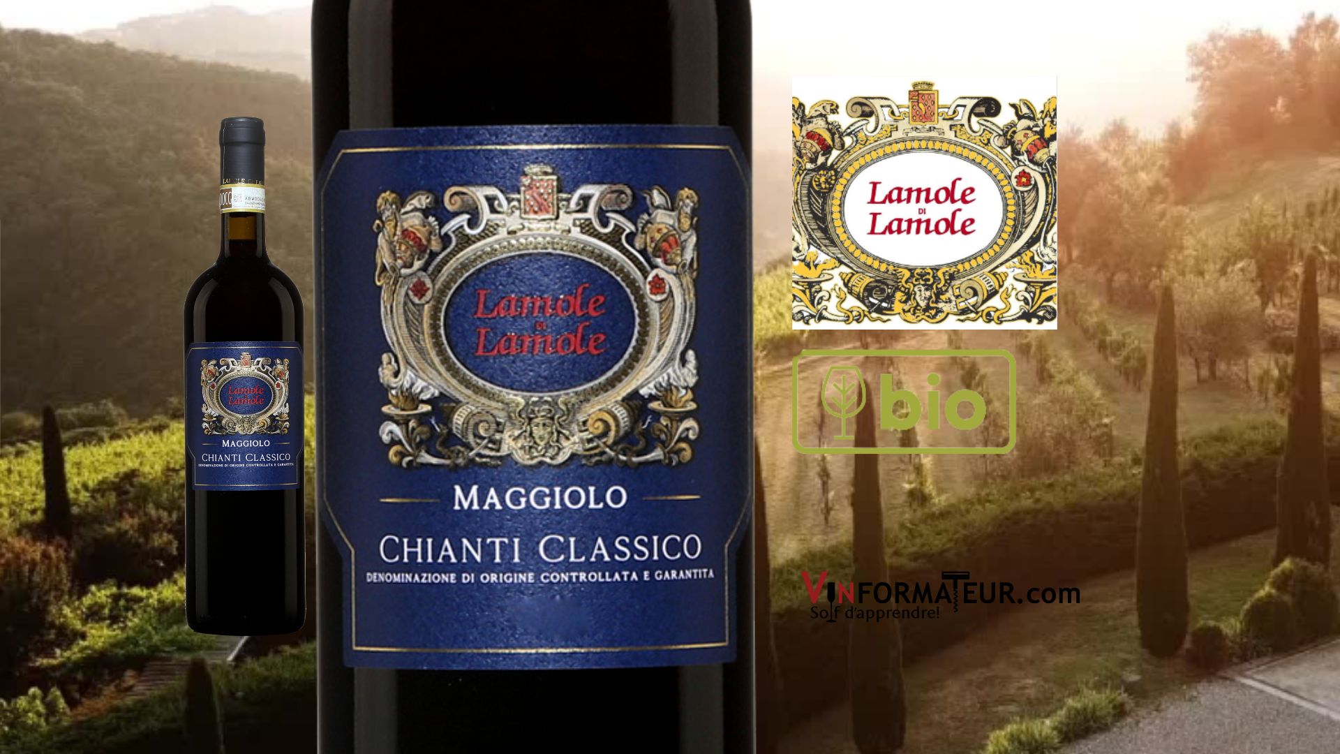Maggiolo, Lamole di Lamole, Chianti Classico, 2020. | Vinformateur
