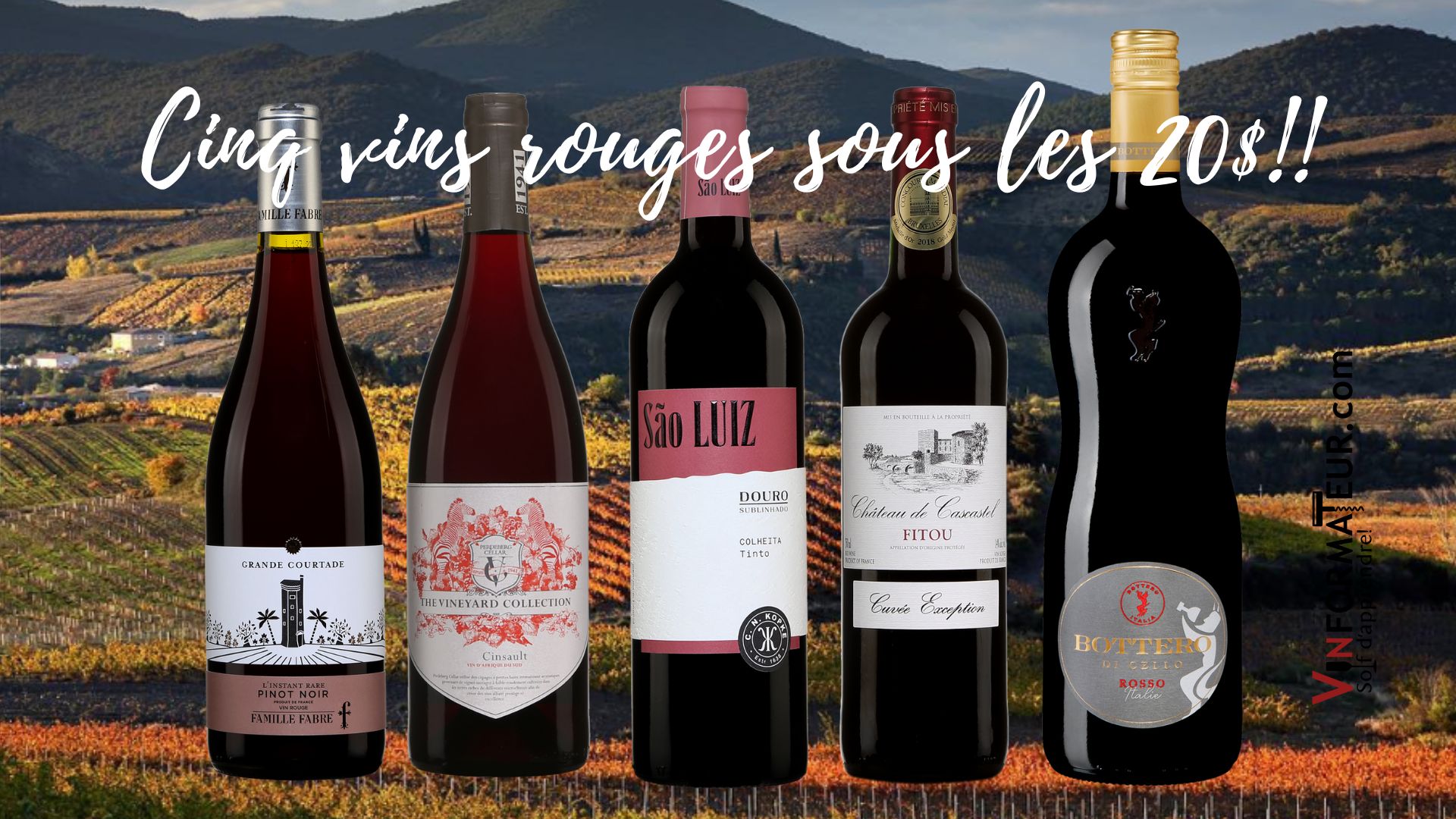 Cinq vins rouges sous la barre des 20$ pour les Fêtes! | Vinformateur
