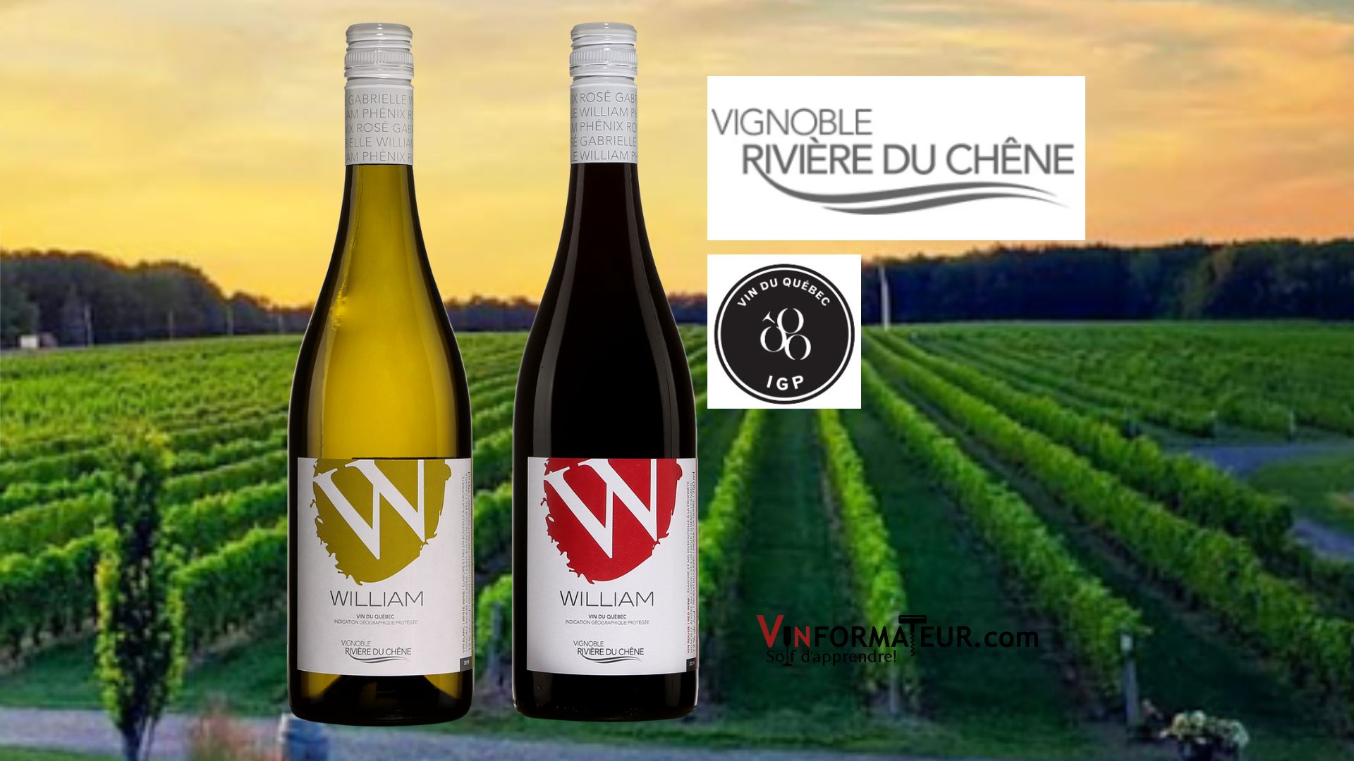 Les cuvées William du Vignoble Rivière du Chêne. | Vinformateur