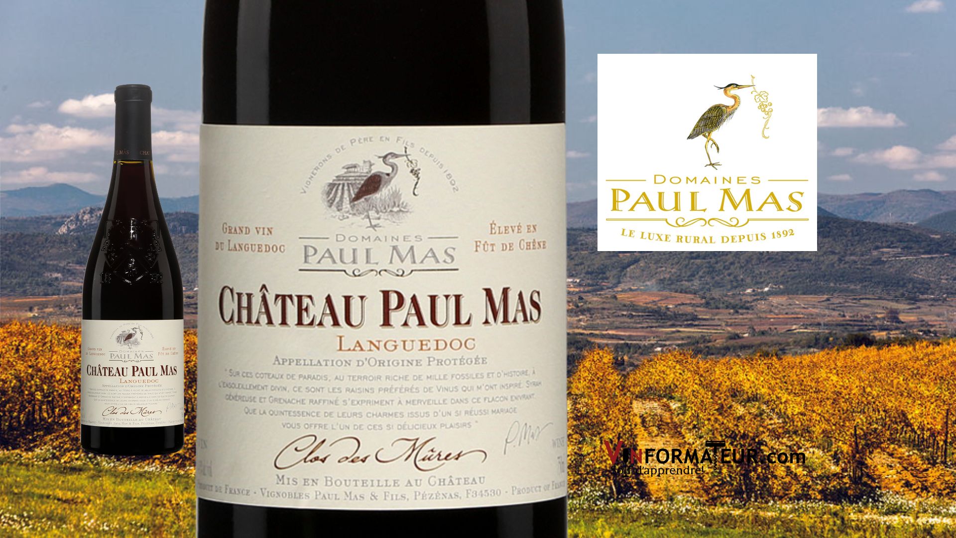 Clos des Mûres, Domaines Paul Mas. | Vinformateur