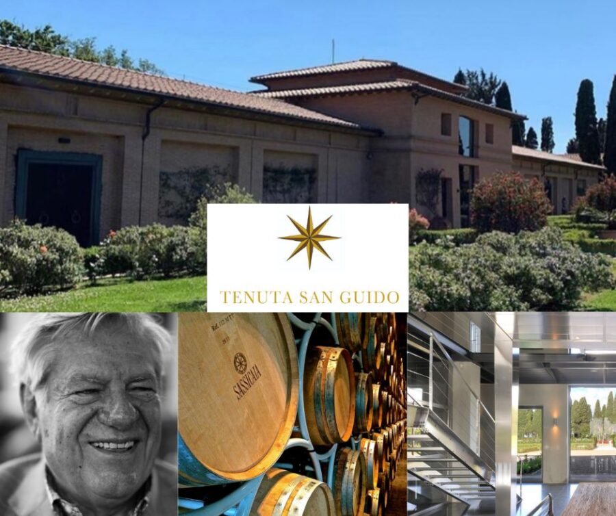 Le Difese 2020 de la Tenuta San Guido. | Vinformateur