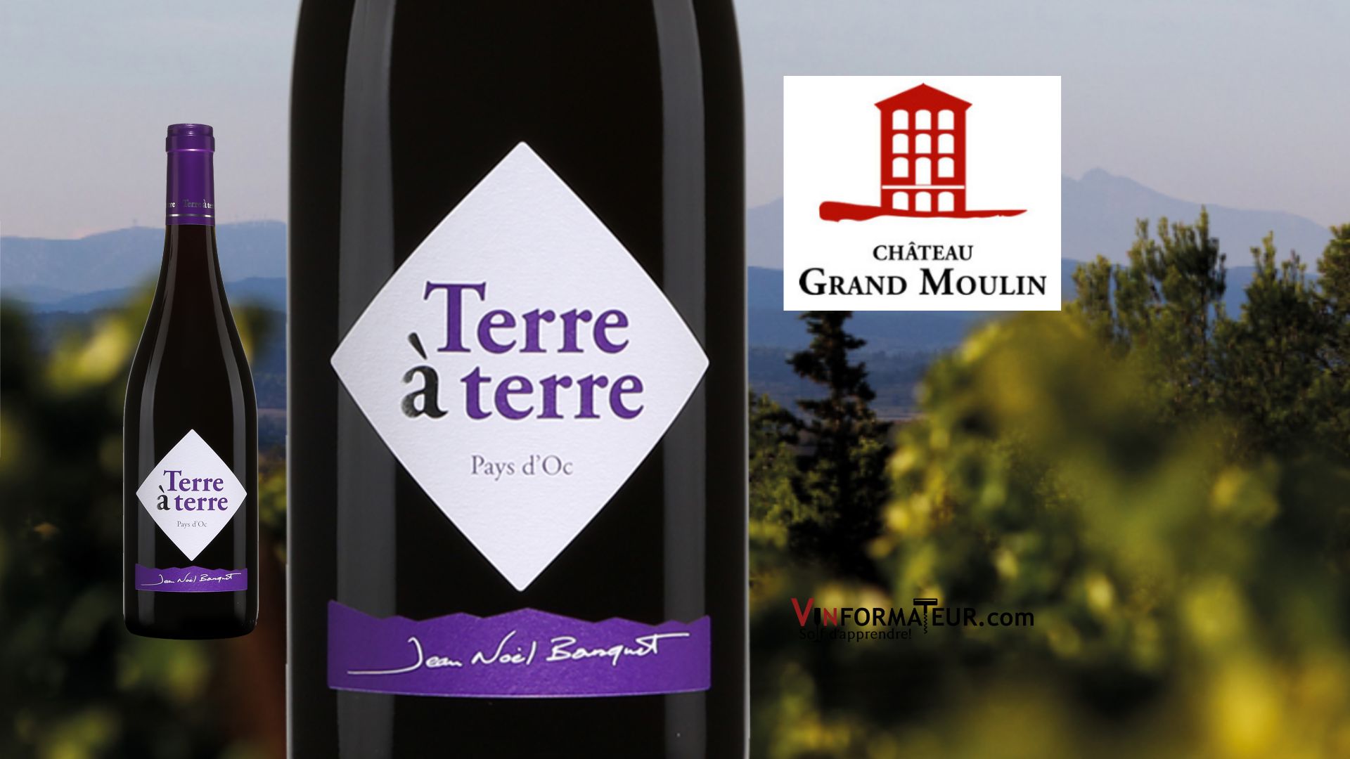 Terre à terre, Pays d’Oc. Un rapport qualité/prix dur à battre ...